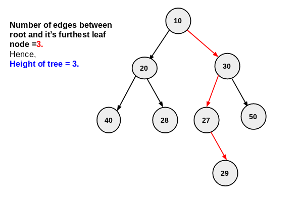 How To Calculate Height And Depth Of A Tree Haiper
