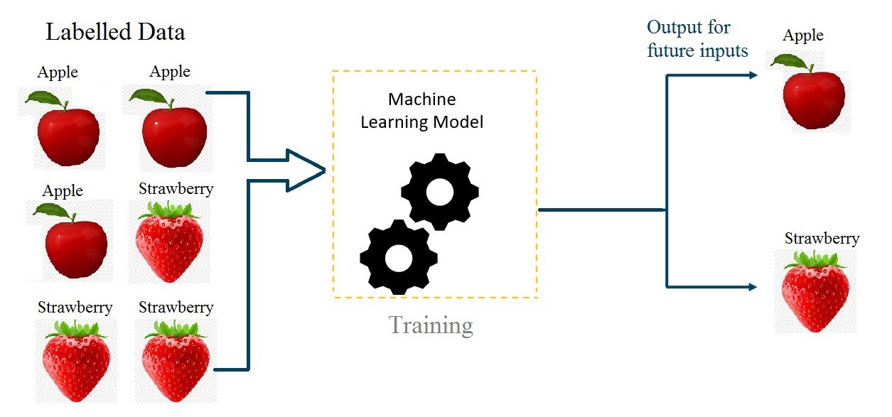 Self Supervised Learning Explained 