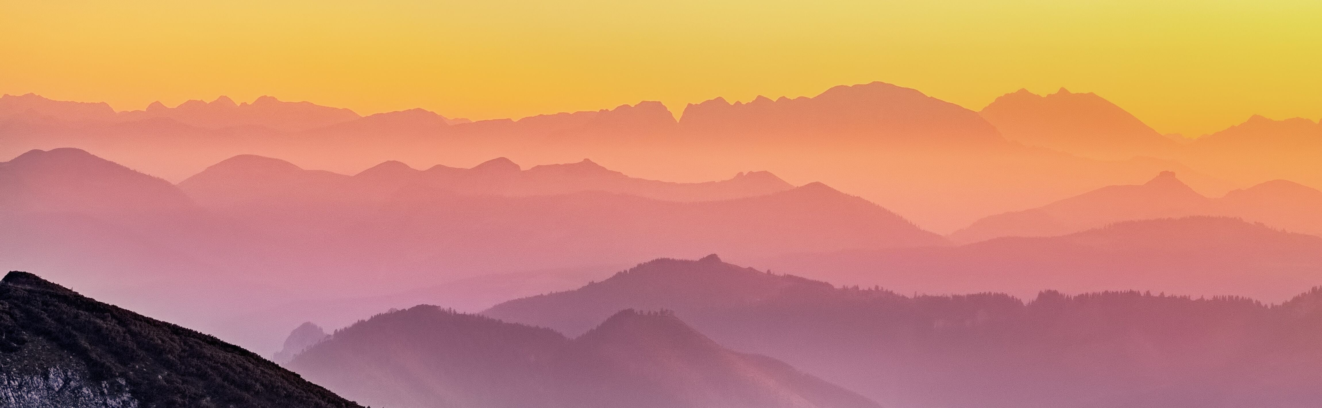 Vidhi Srivastava - OpenGenus IQ: Learn Algorithms, DL, System Design